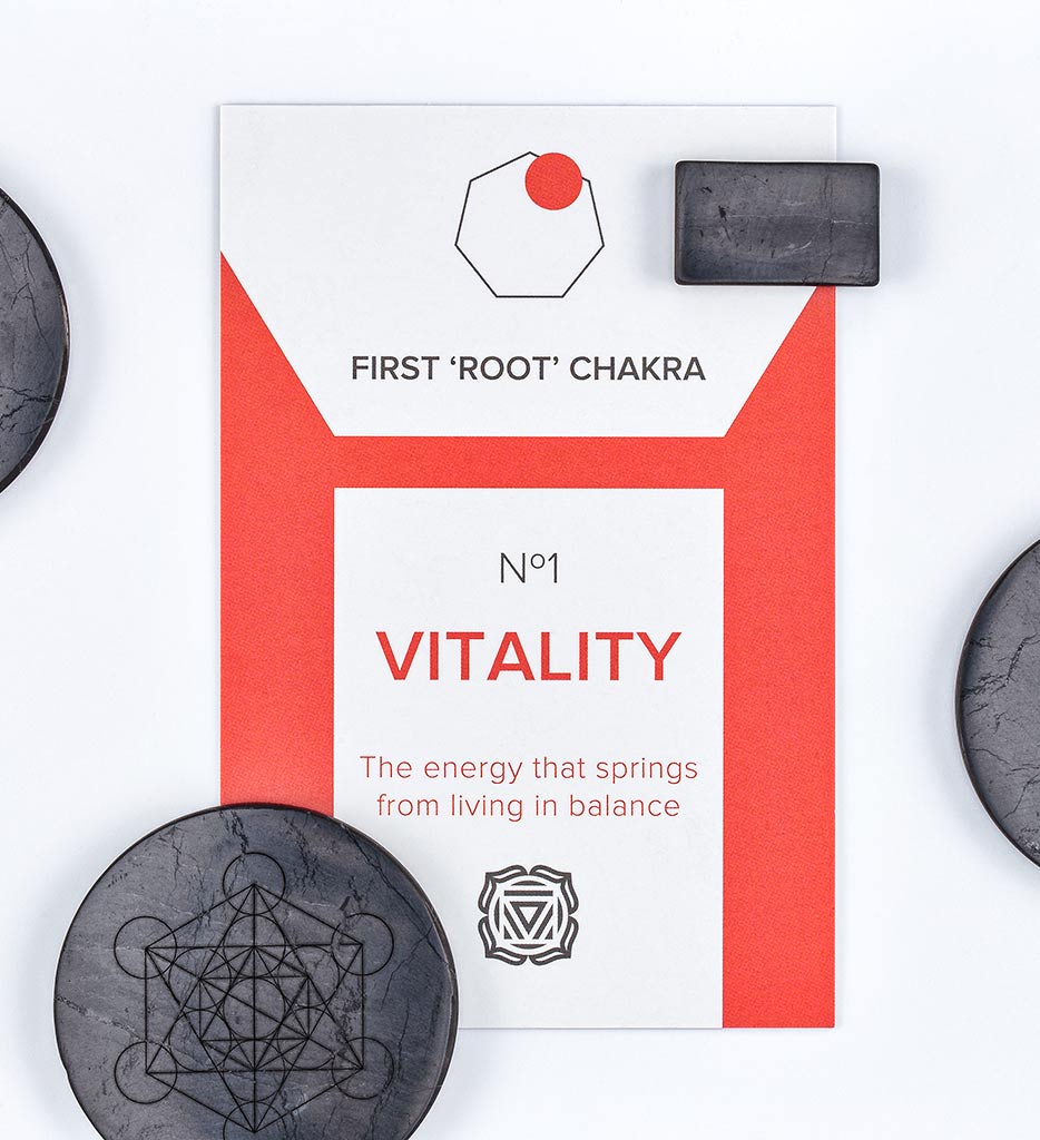 Shungite Metatron EMF Shield 2pc Set – Modern ŌM